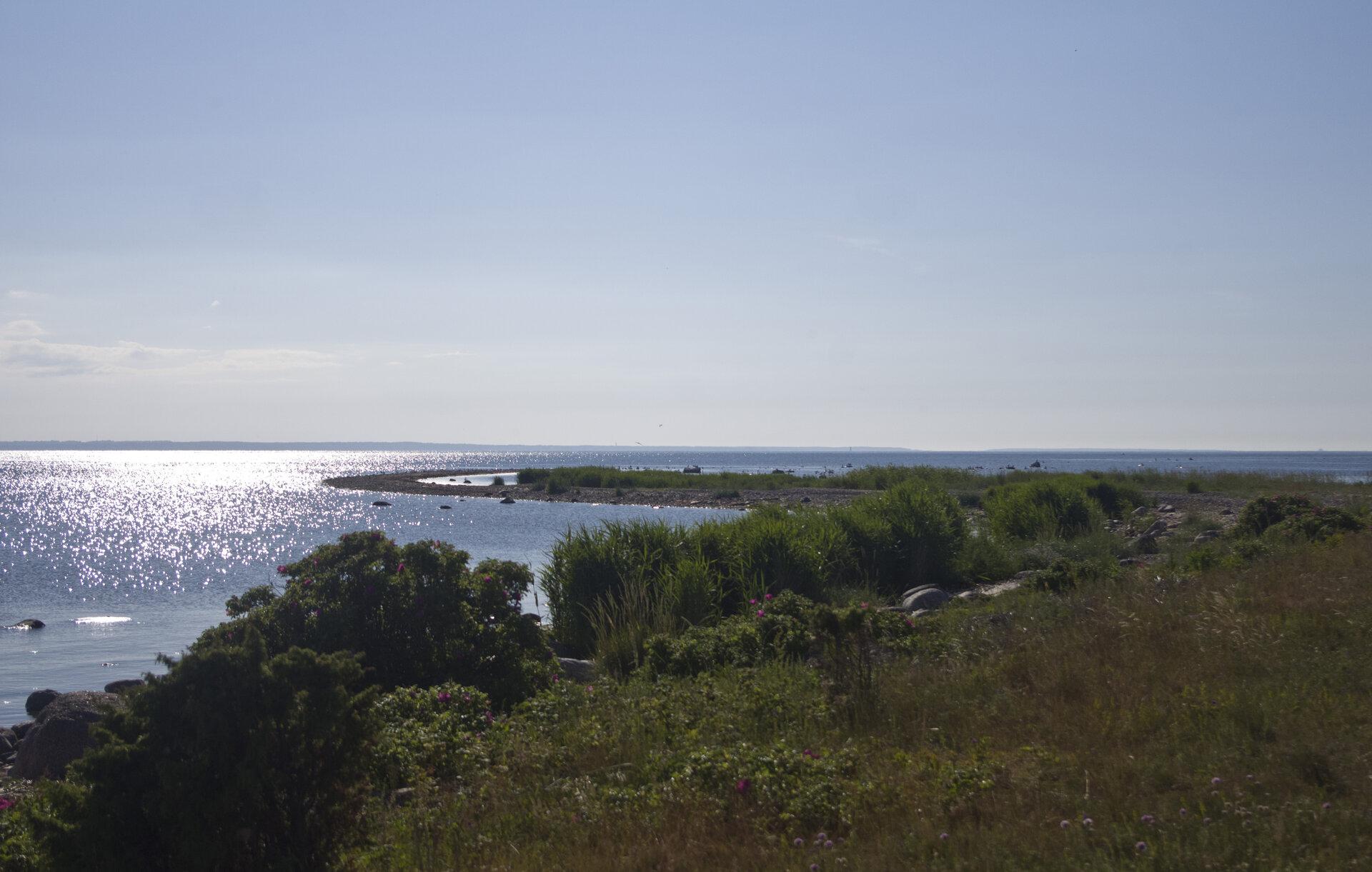 Jalgsimatk Uitro säärele Neeme külas | Harjumaa Turism | Visitharju